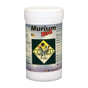 Murium Bird - Ornitalia