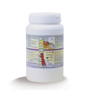 Murium Bird - Ornitalia